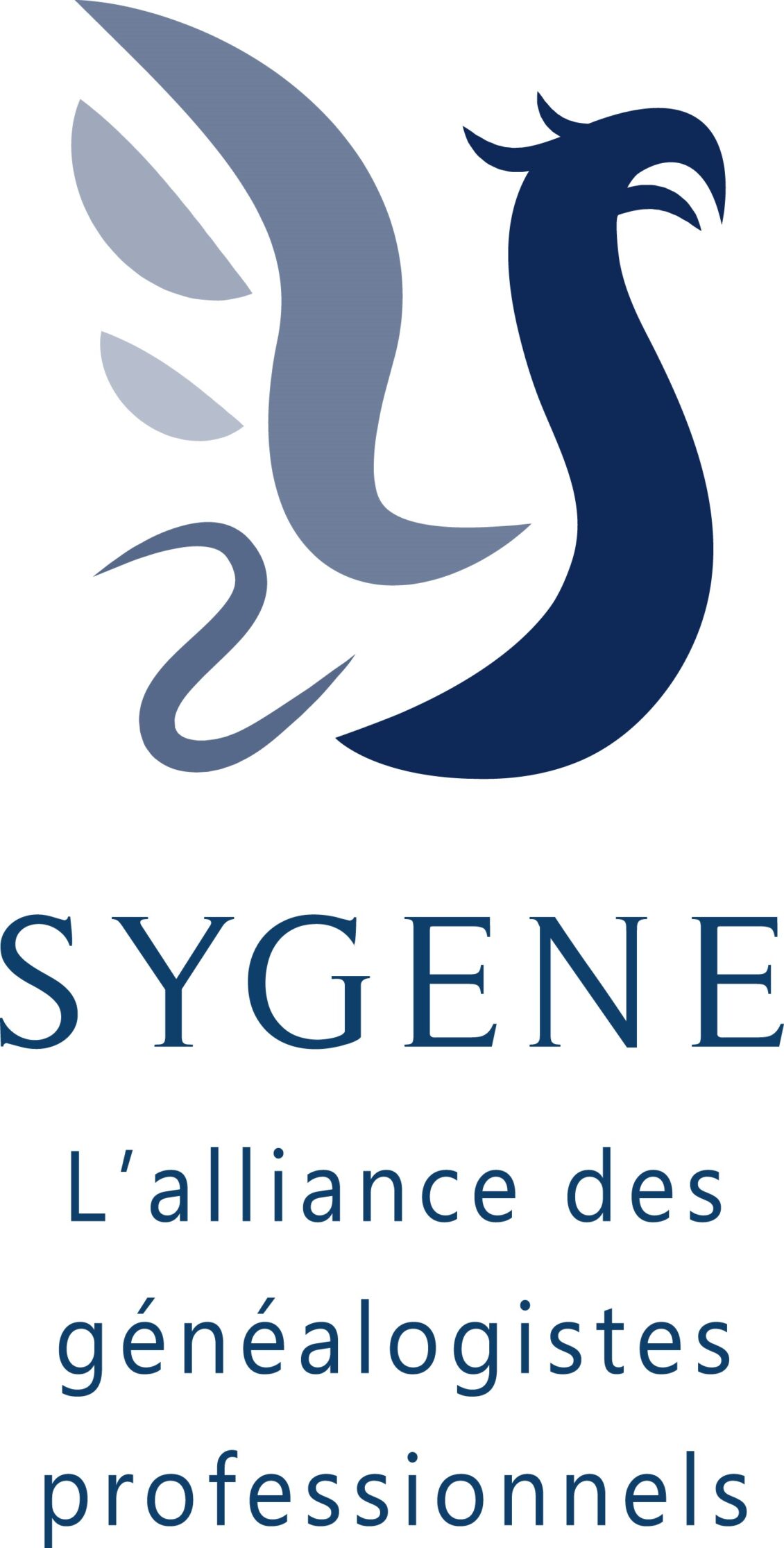 Malfant Masson & Associés Généalogistes - MALFANT-MASSON & Associés